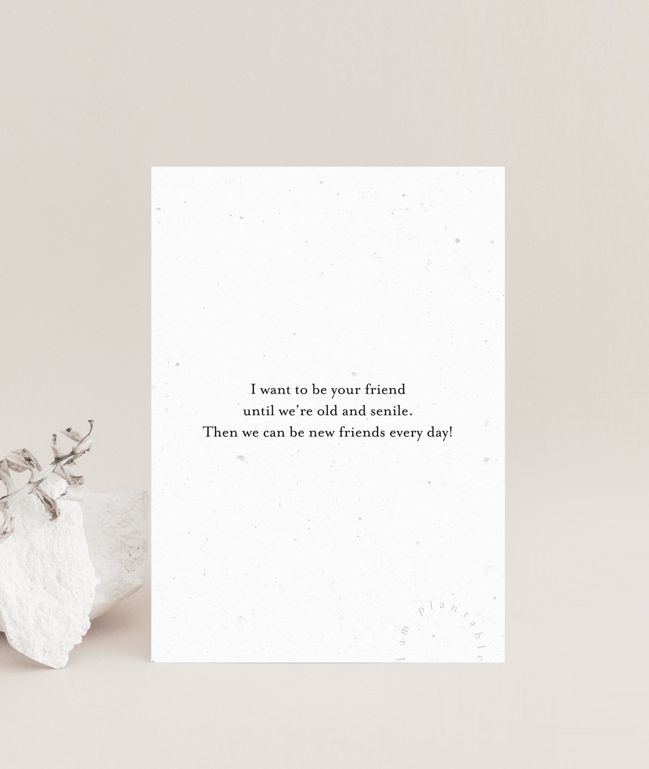 Senile Friends Till We're Old And Senile Horse Magnet | Leanin' Tree